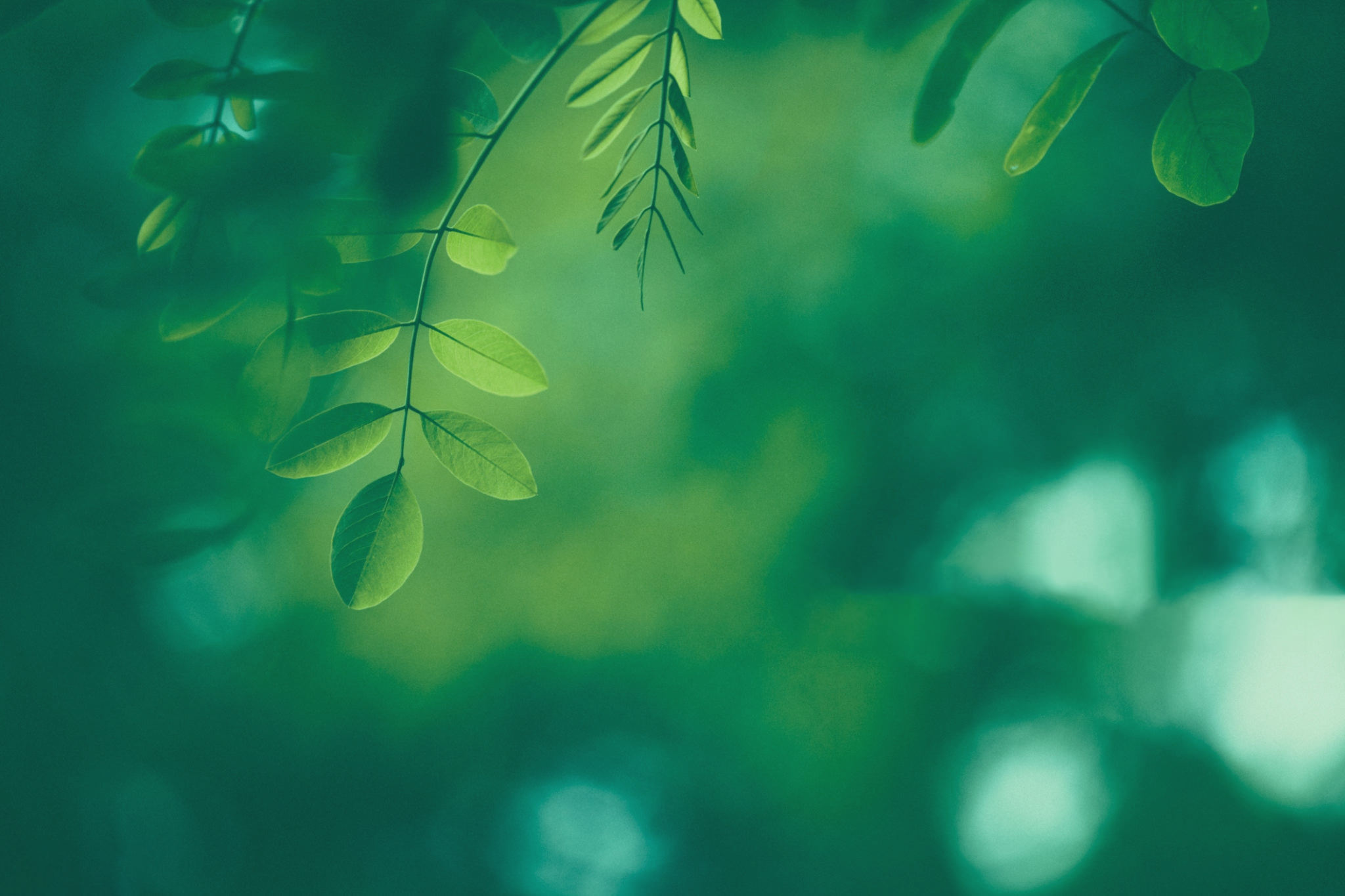 Best Naturopathy Clinic in Trivandrum, Kerala | Samatvam